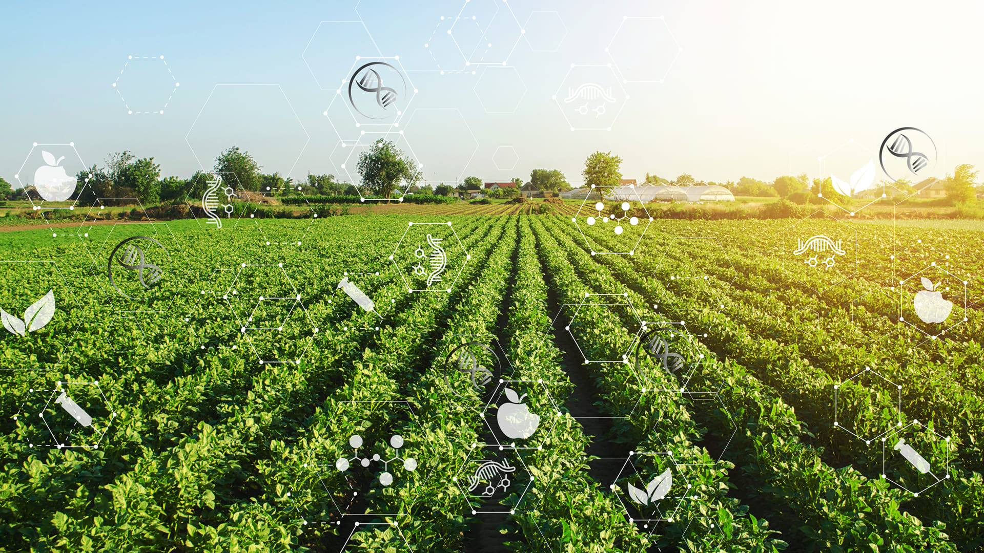 Recombine Biotech - Recombinant Technology Solutions