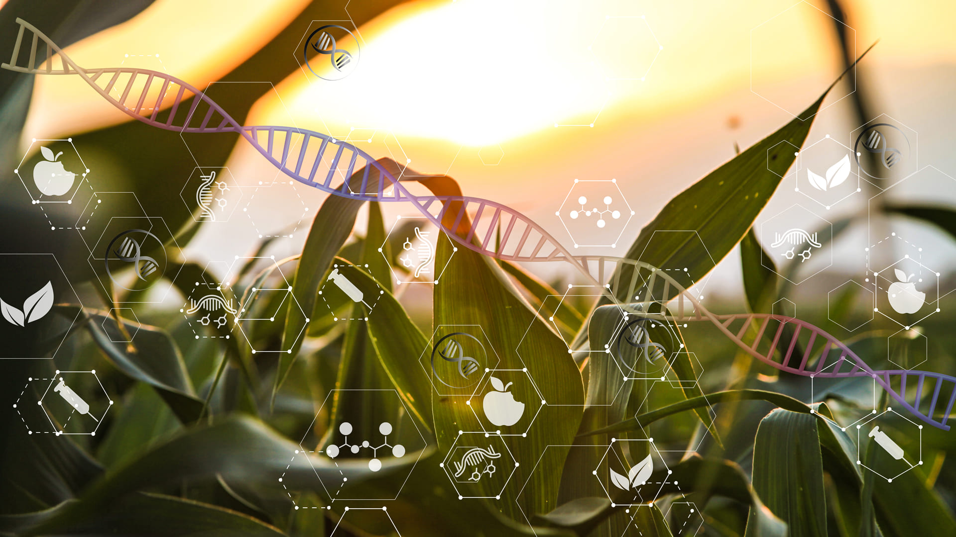 Recombine Biotech - Recombinant Technology Solutions