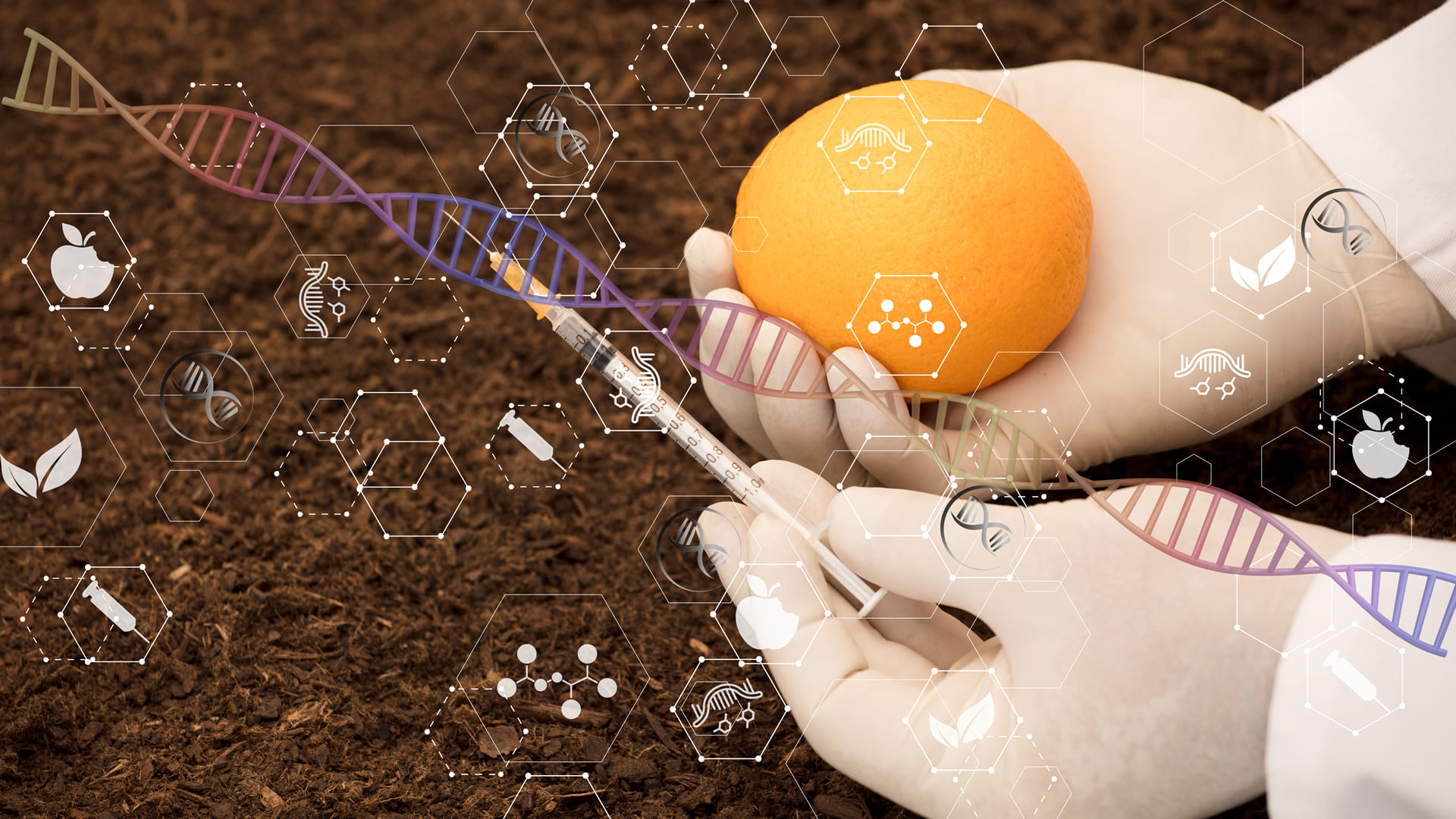 Recombine Biotech - Recombinant Technology Solutions