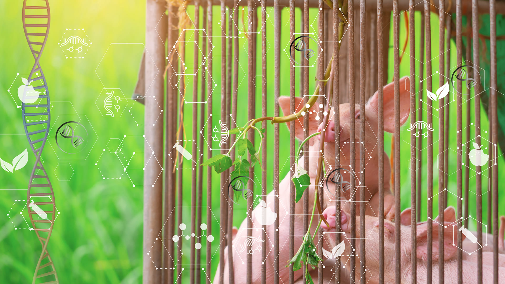 Recombine Biotech - Recombinant Technology Solutions